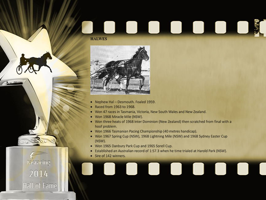 Tasracing FORMPLUS | Data driven