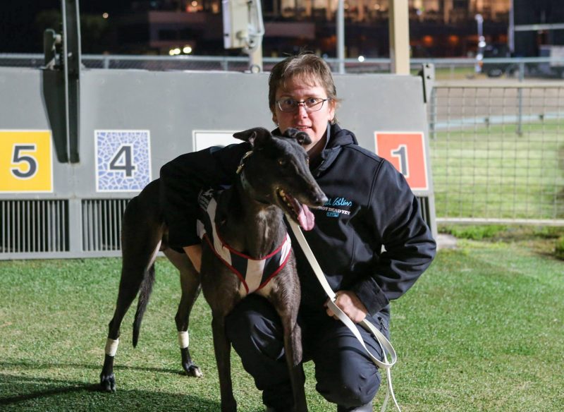 Tasracing FORMPLUS | Data driven