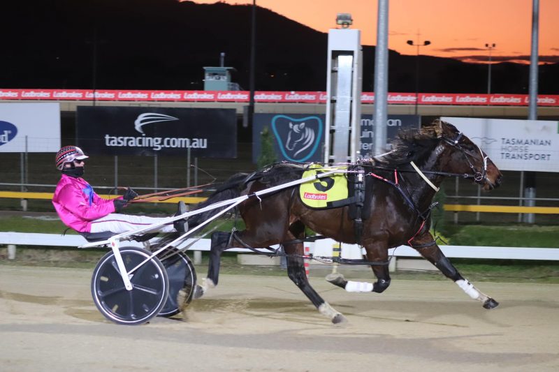 Tasracing FORMPLUS | Data driven