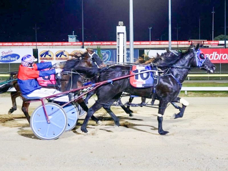 Tasracing FORMPLUS | Data driven