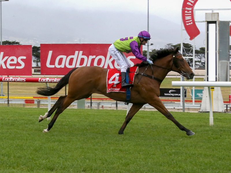 Tasracing FORMPLUS | Data driven