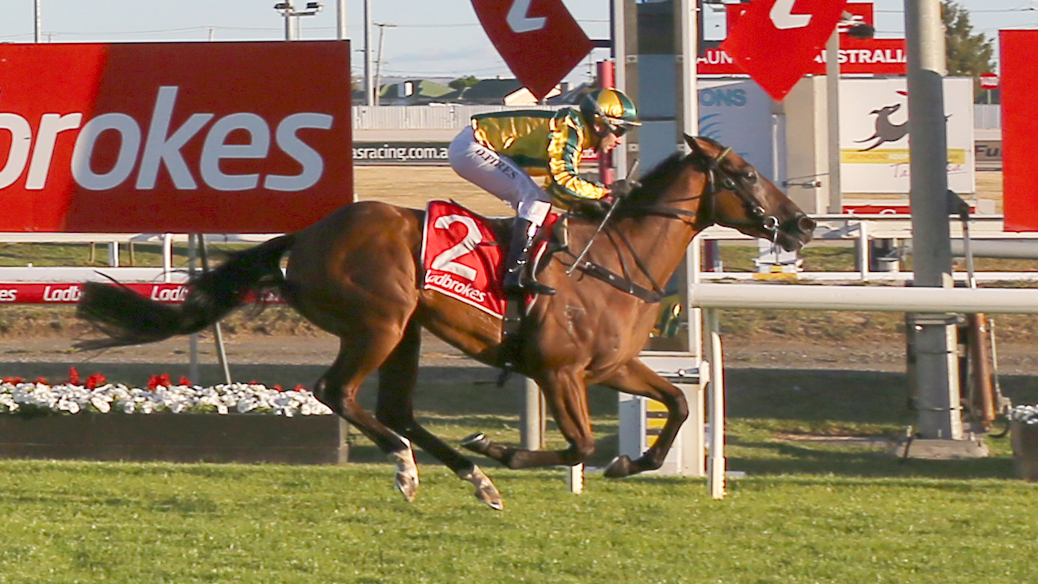 Tasracing FORMPLUS | Data driven