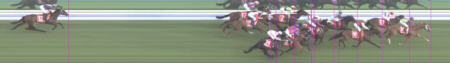 Thoroughbred Form Guide - Tasracing FORMPLUS | Data driven