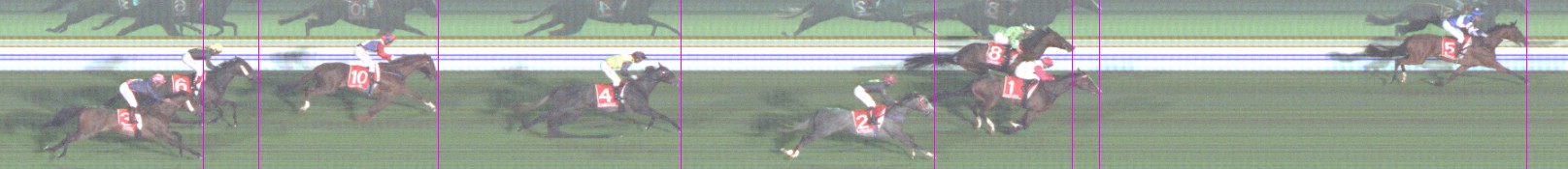 Thoroughbred Form Guide - Tasracing FORMPLUS | Data driven