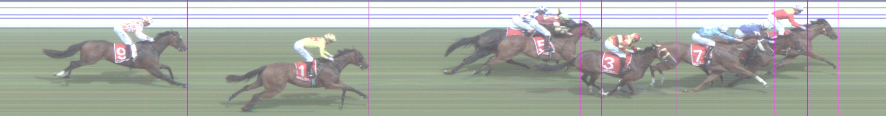 Thoroughbred Form Guide - Tasracing FORMPLUS | Data driven