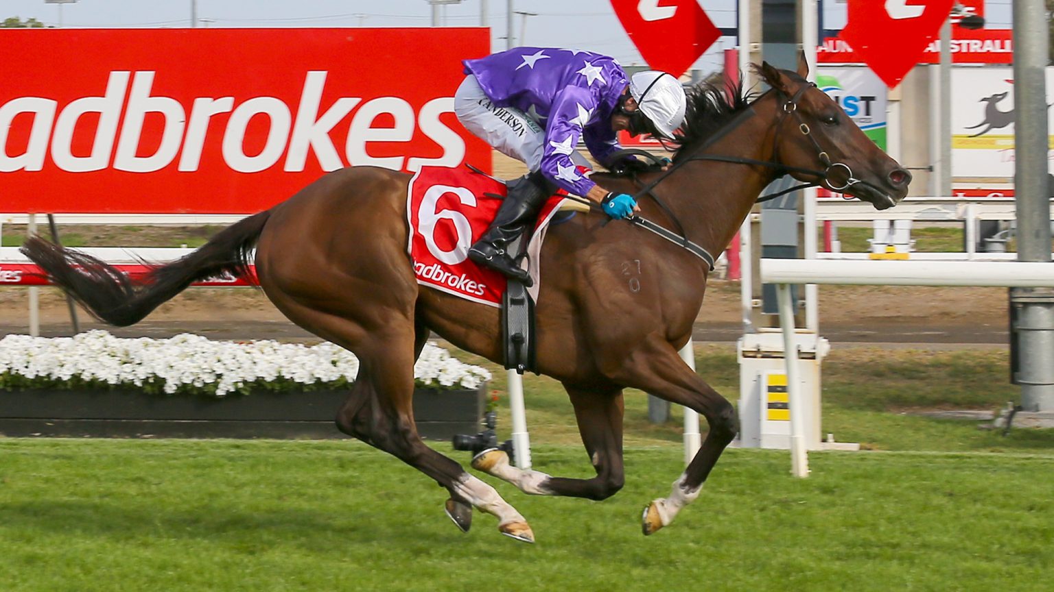 Tasracing FORMPLUS | Data driven