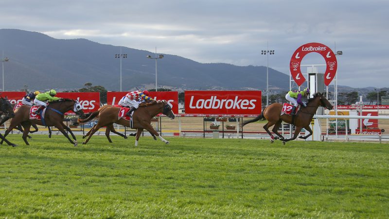 Tasracing FORMPLUS | Data driven