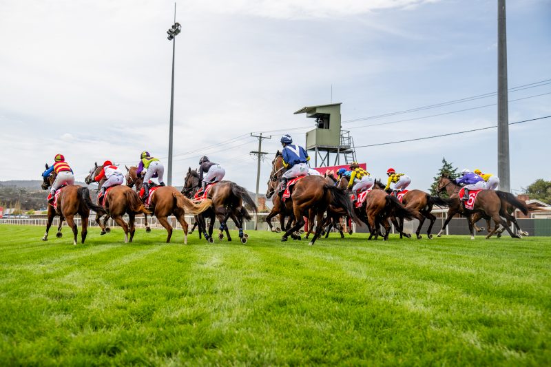 Tasracing FORMPLUS | Data driven