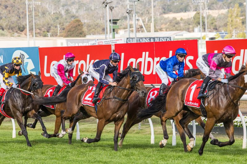 Tasracing FORMPLUS | Data driven