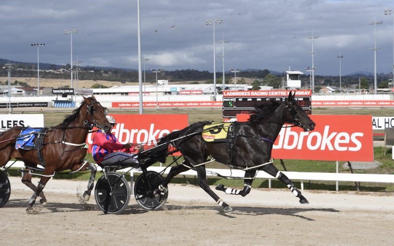 The wait is over Triedtotellya back on track – Tasracing