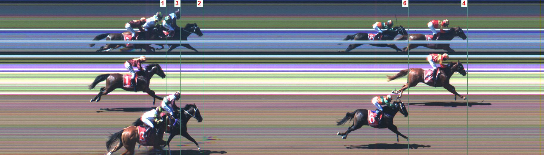 Thoroughbred Form Guide - Tasracing FORMPLUS | Data driven