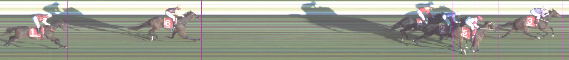 Thoroughbred Form Guide - Tasracing FORMPLUS | Data driven