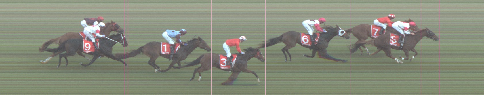 Thoroughbred Form Guide - Tasracing FORMPLUS | Data driven