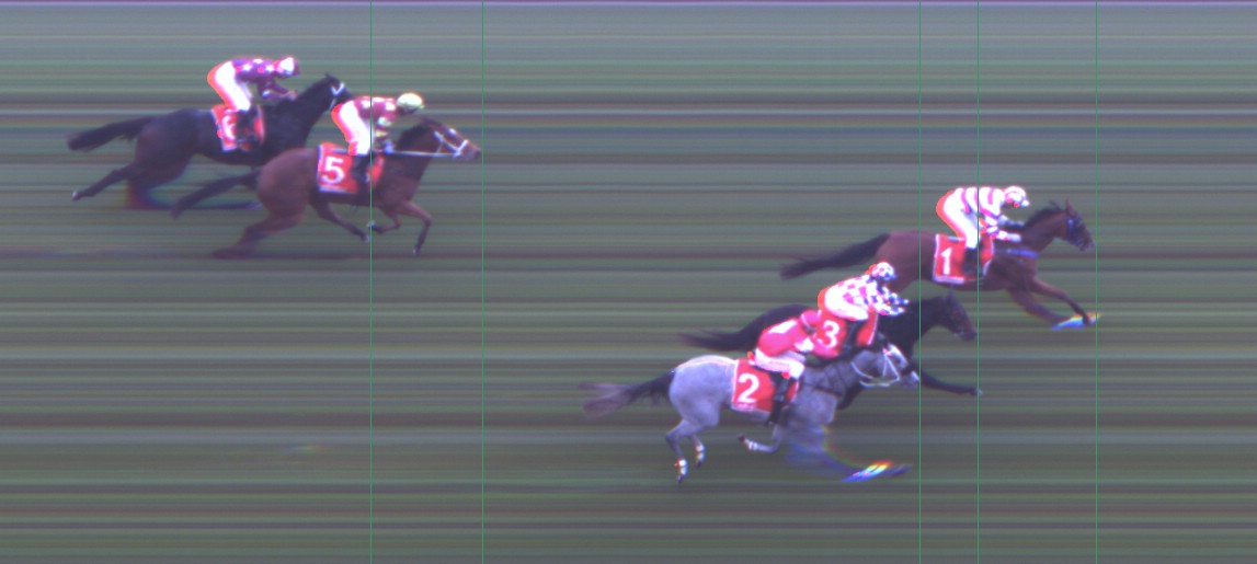 Thoroughbred Form Guide - Tasracing FORMPLUS | Data driven