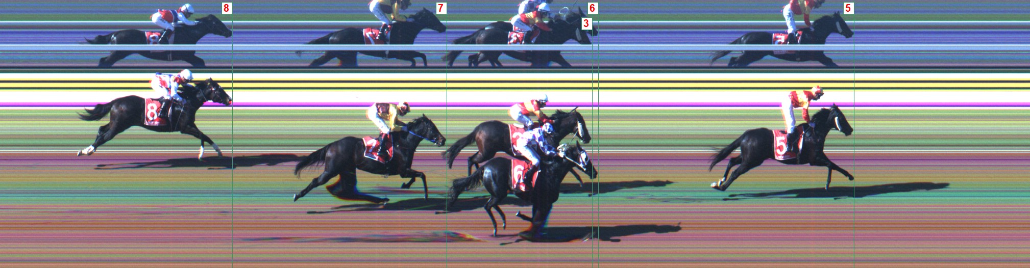 Thoroughbred Form Guide - Tasracing FORMPLUS | Data driven