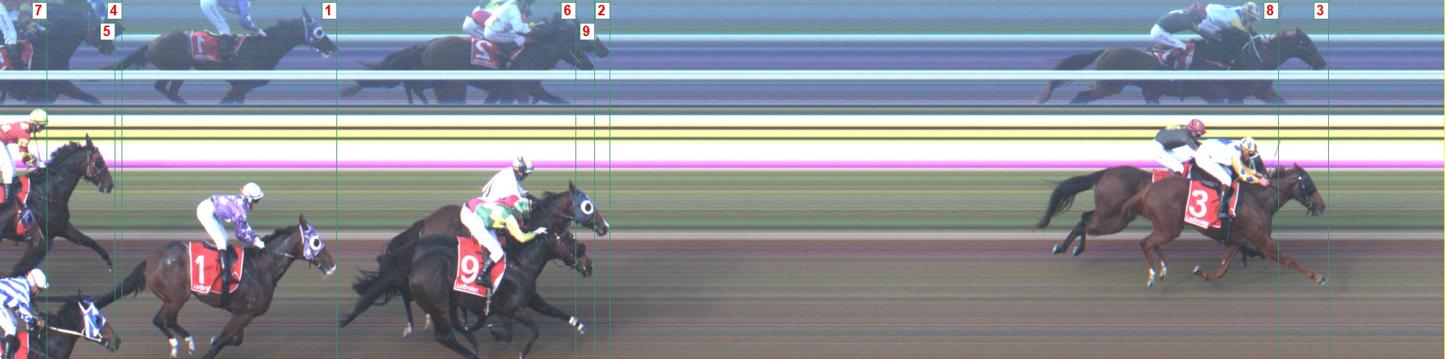 Thoroughbred Form Guide - Tasracing FORMPLUS | Data driven