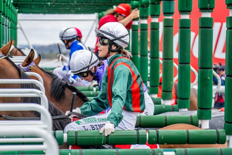 Bingley back after fall – Tasracing