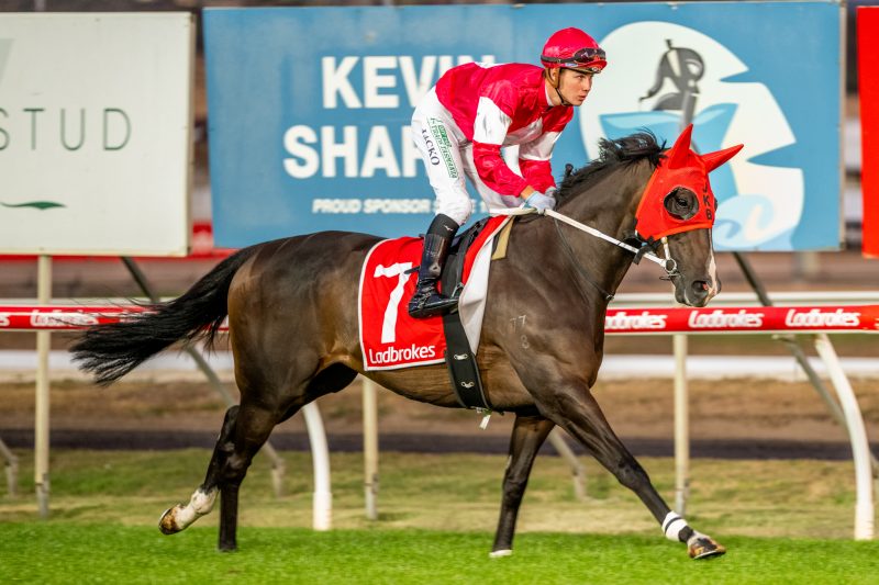 Tasracing FORMPLUS | Data driven