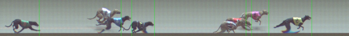 Greyhound Form Guide - Tasracing FORMPLUS | Data driven