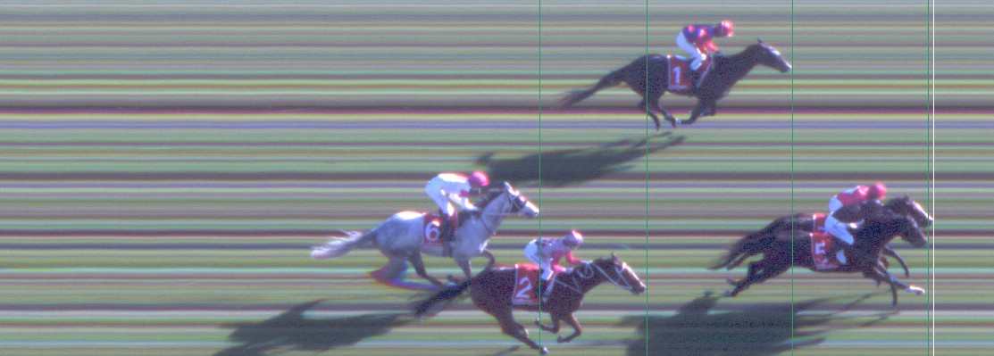 Upcoming Thoroughbred Meet - Tasracing.com.au | Data driven