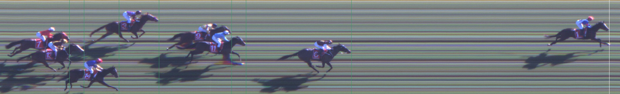 Thoroughbred Form Guide - Tasracing FORMPLUS | Data driven