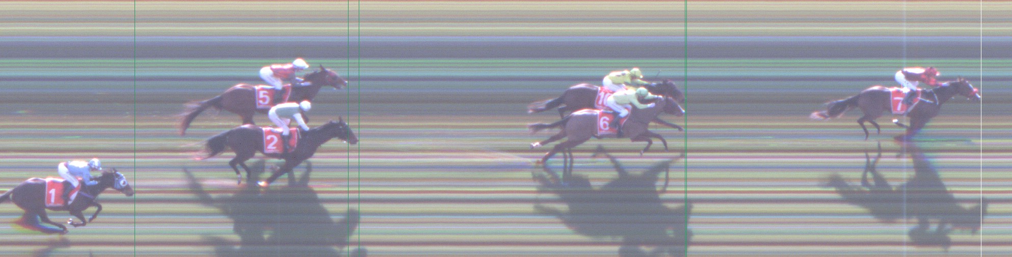 Thoroughbred Form Guide - Tasracing FORMPLUS | Data driven