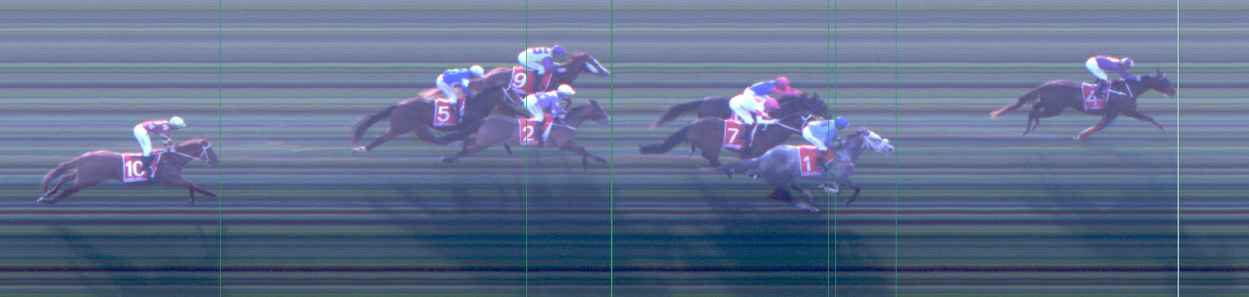 Thoroughbred Form Guide - Tasracing FORMPLUS | Data driven