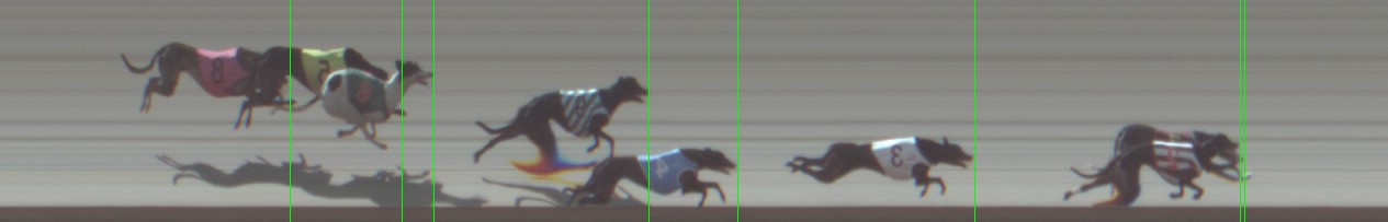 Greyhound Form Guide - Tasracing FORMPLUS | Data driven