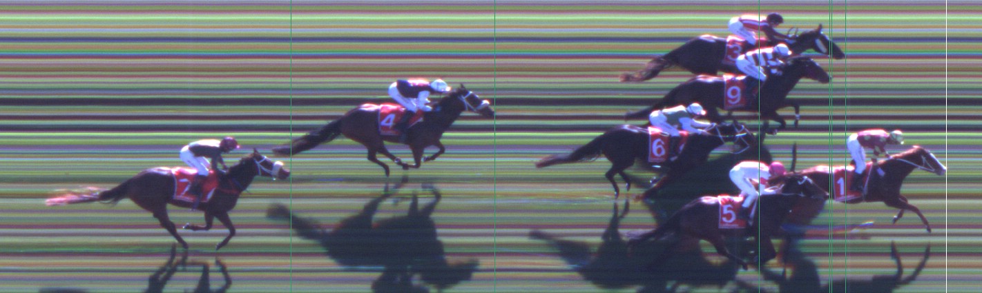 Thoroughbred Form Guide - Tasracing FORMPLUS | Data driven