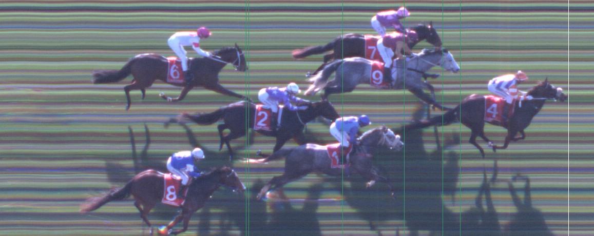 Thoroughbred Form Guide - Tasracing FORMPLUS | Data driven