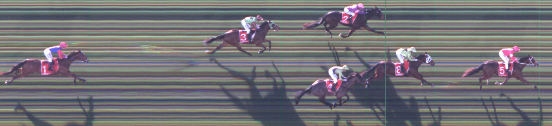 Thoroughbred Form Guide - Tasracing FORMPLUS | Data driven