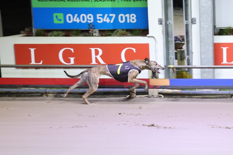 Tasracing FORMPLUS | Data driven