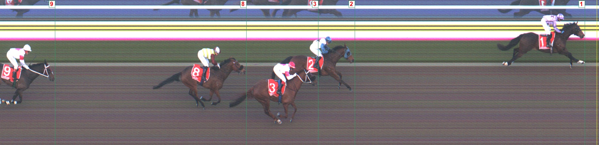 Thoroughbred Form Guide - Tasracing FORMPLUS | Data driven