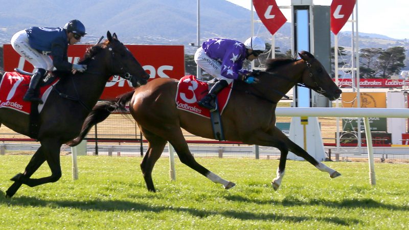 Star duo cap a brilliant 2025 – Tasracing