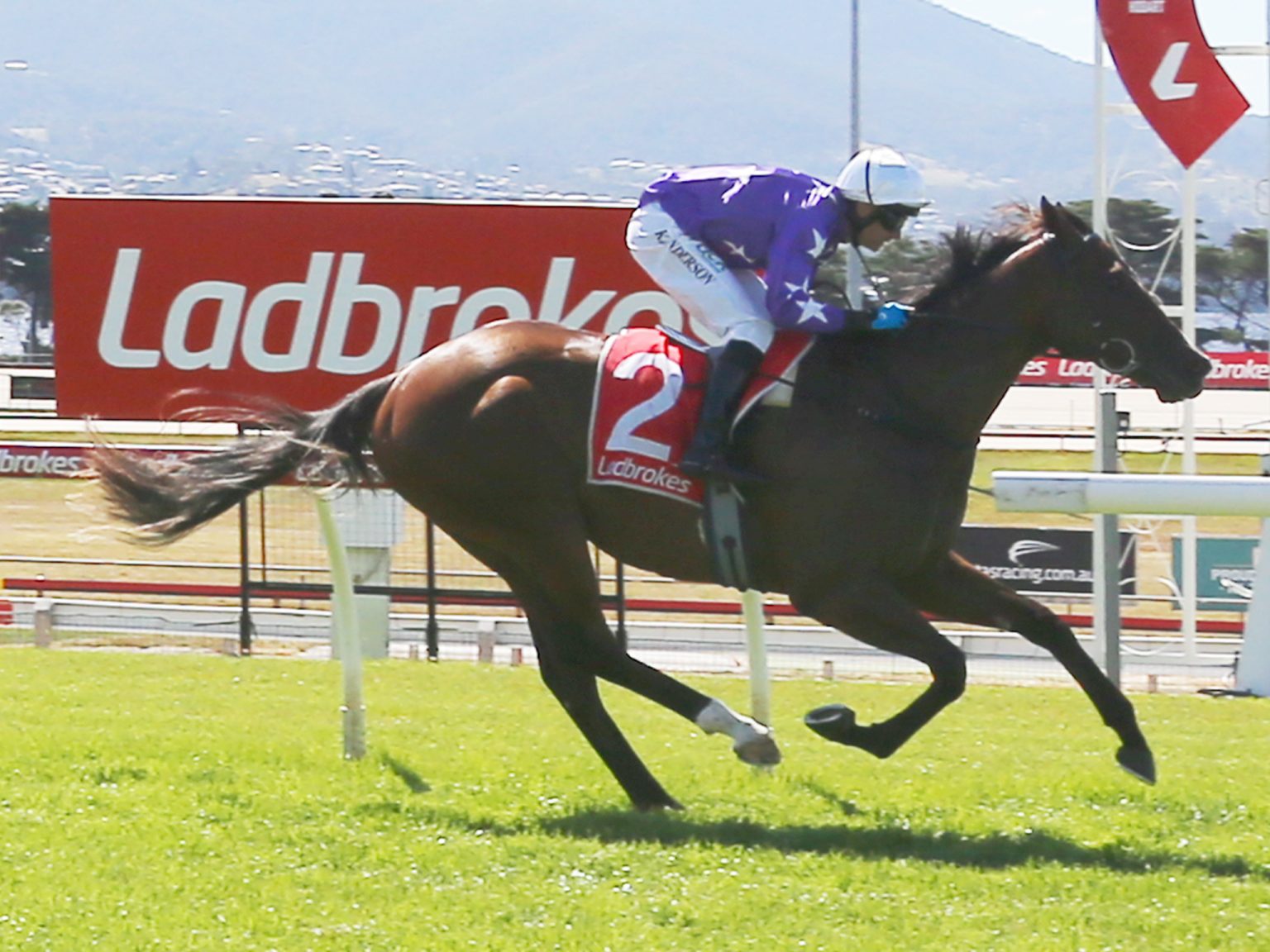 Star duo cap a brilliant 2025 – Tasracing